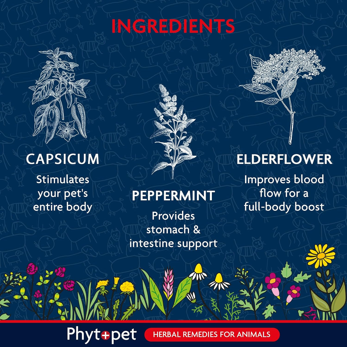 Phytopet Life Drops™ Spray – Phytopet-Trade